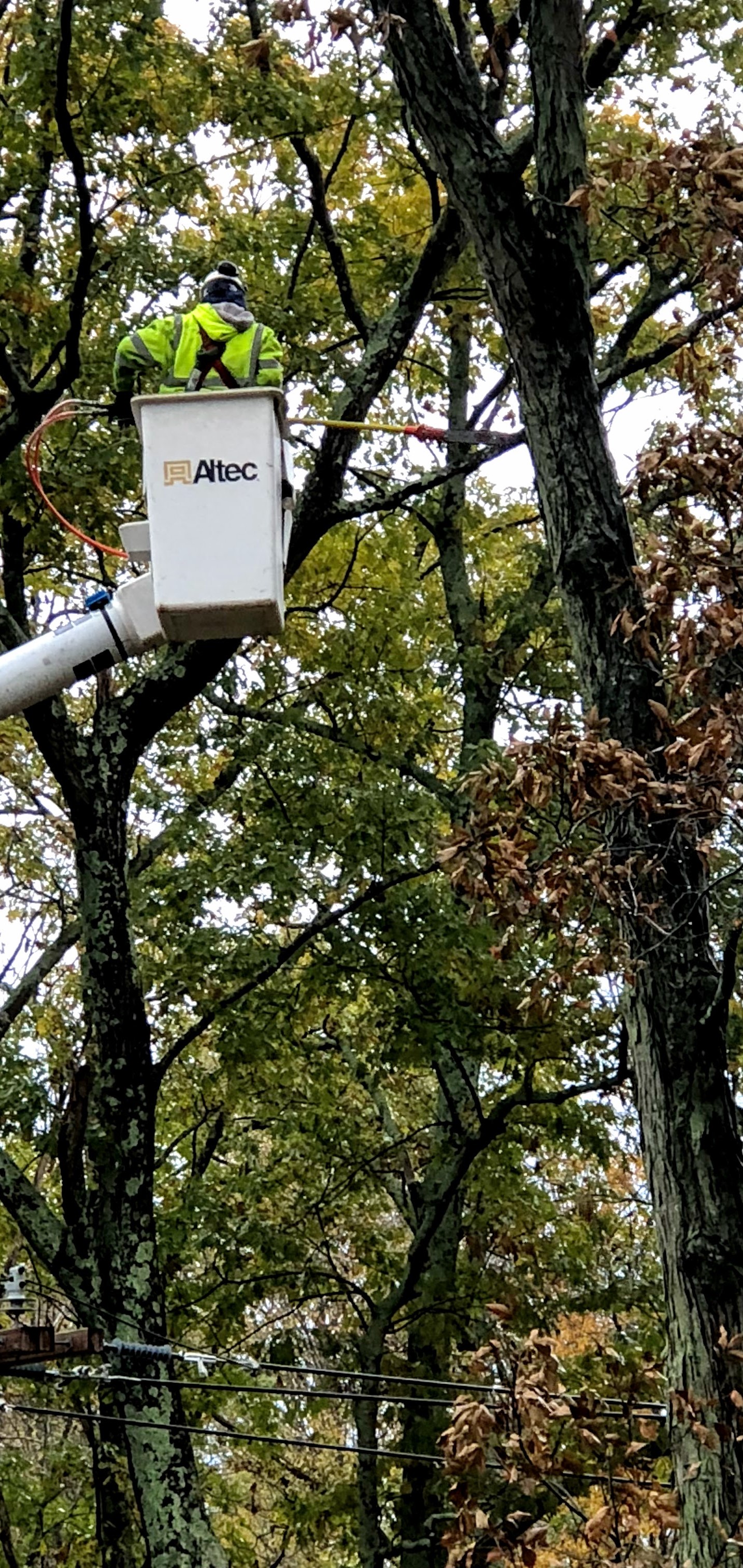 Improving Vegetation Management Effectiveness with Remote Sensing ...